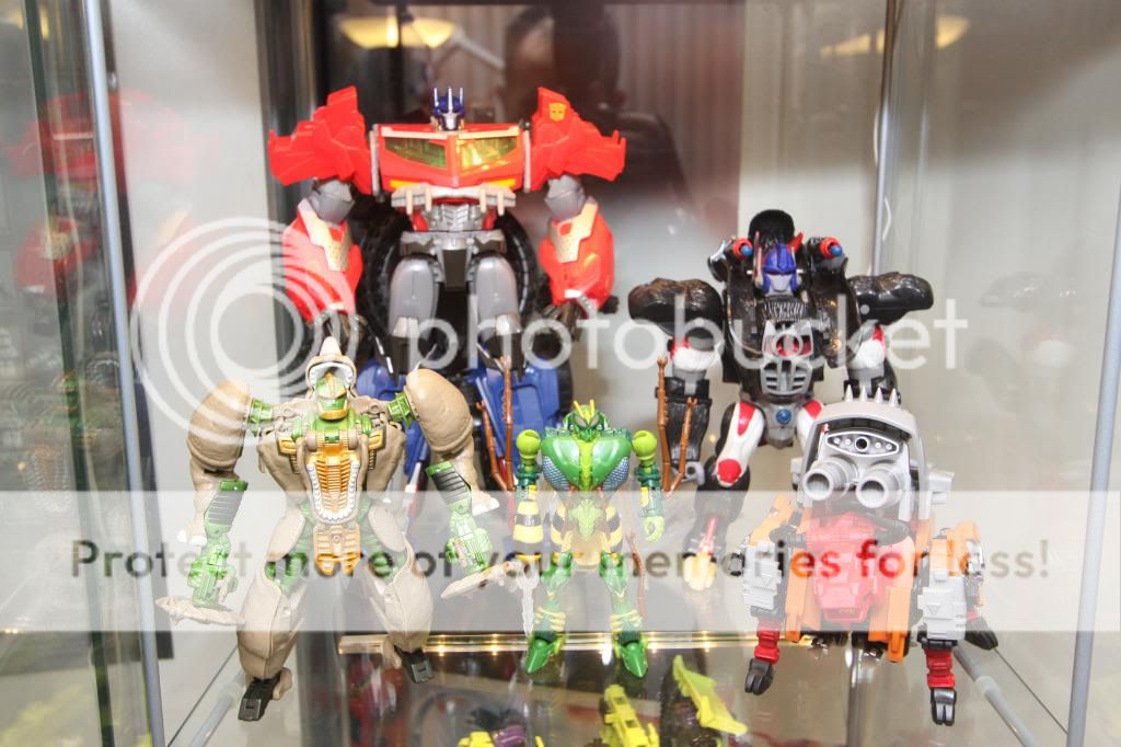 My Transformers Display for all to see | TFW2005 - The 2005 Boards