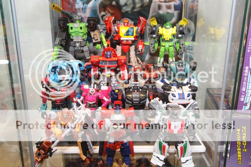 My Transformers Display for all to see | TFW2005 - The 2005 Boards