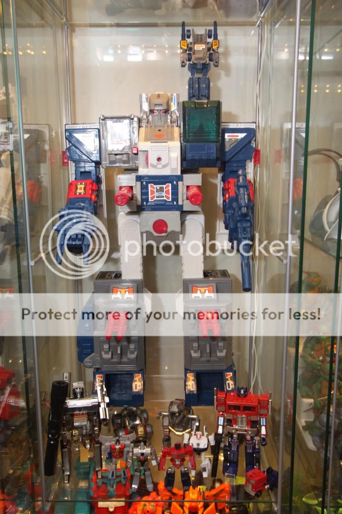 My Transformers Display for all to see | TFW2005 - The 2005 Boards