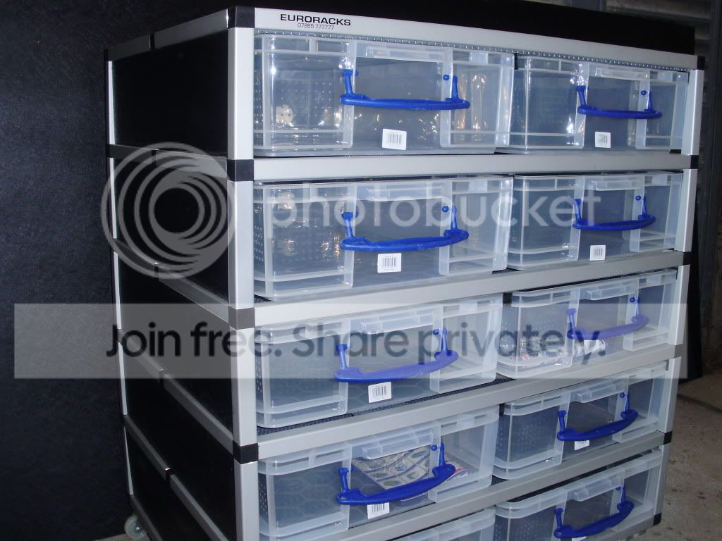 E Midlands - Hatchling racks. | Reptile Forums